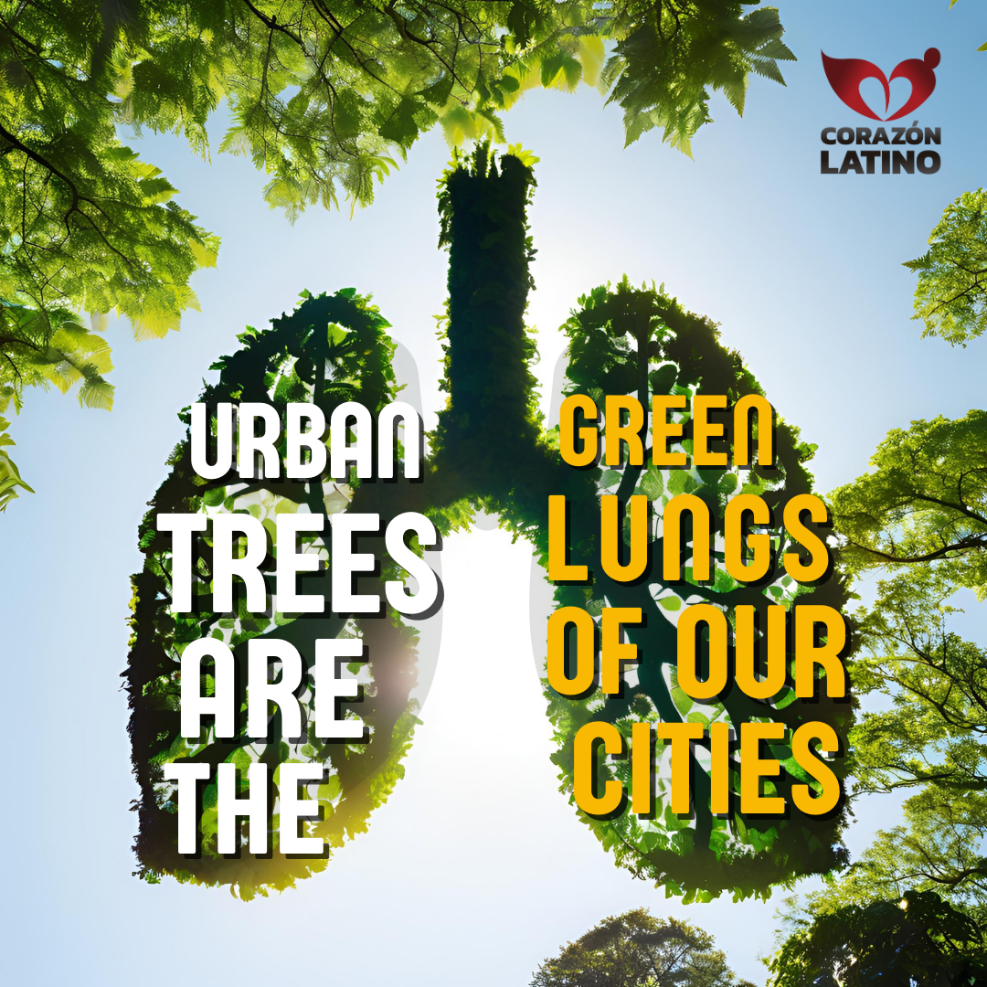 Stories of Trees - Urban and Community Forestry Toolkit